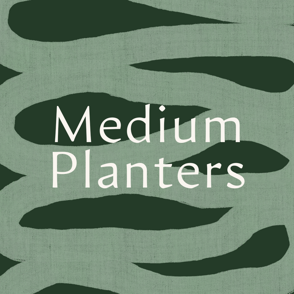 Medium Planters – Jungle & Loom