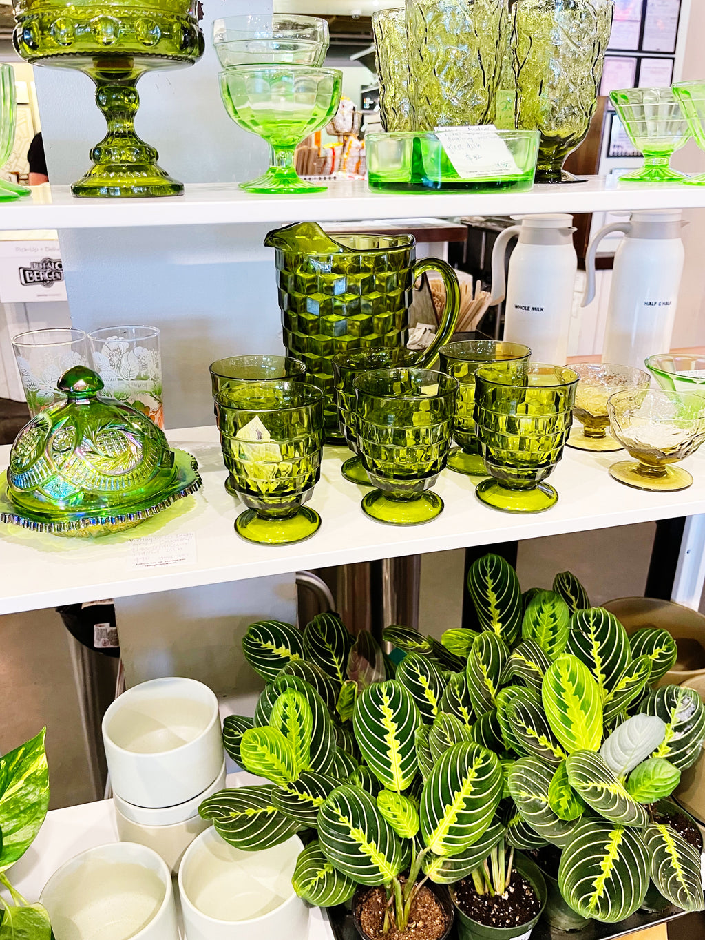 Vintage Glassware and Furniture – Jungle & Loom