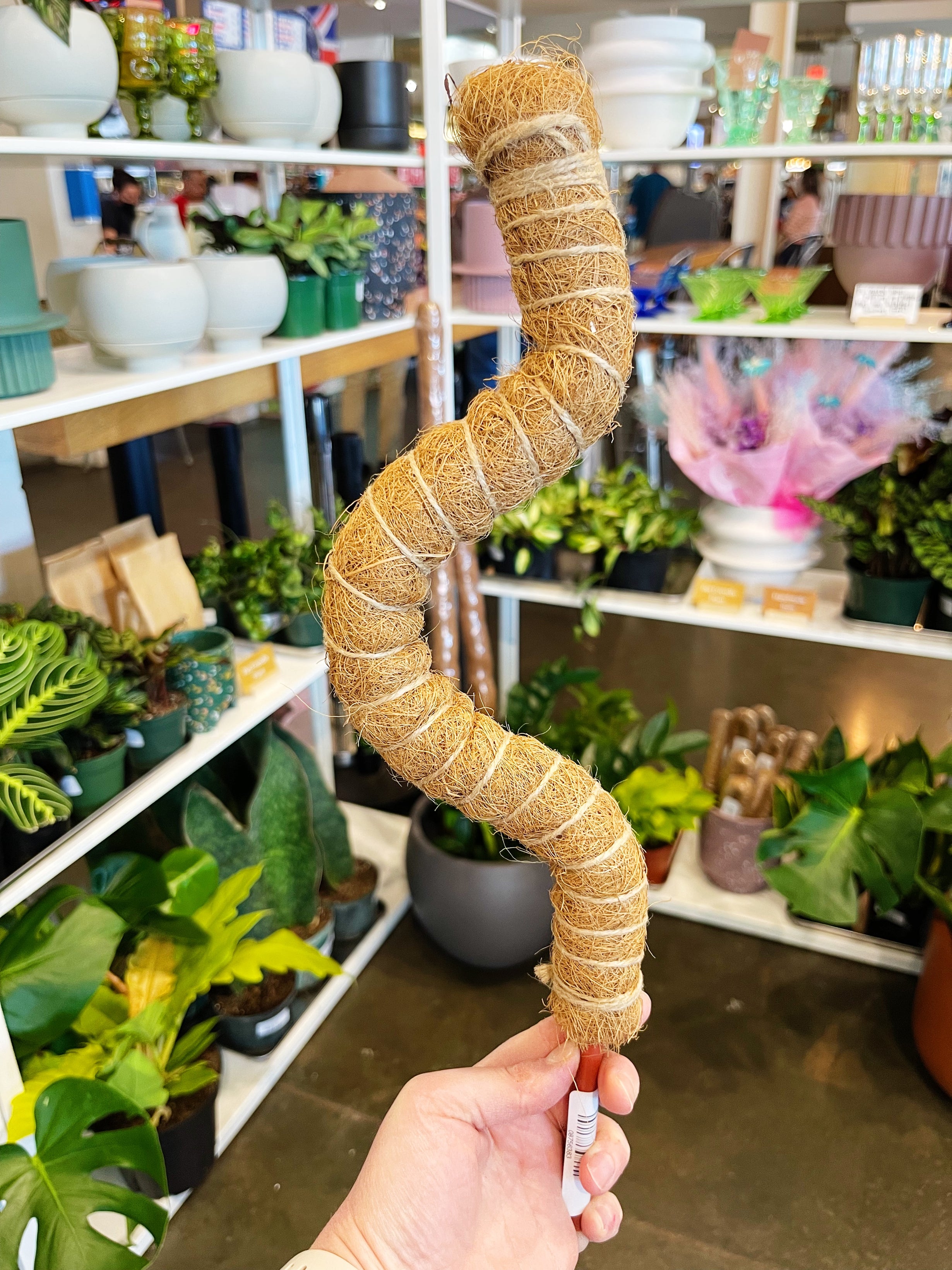 Bendable Coconut Grow Pole – Jungle & Loom