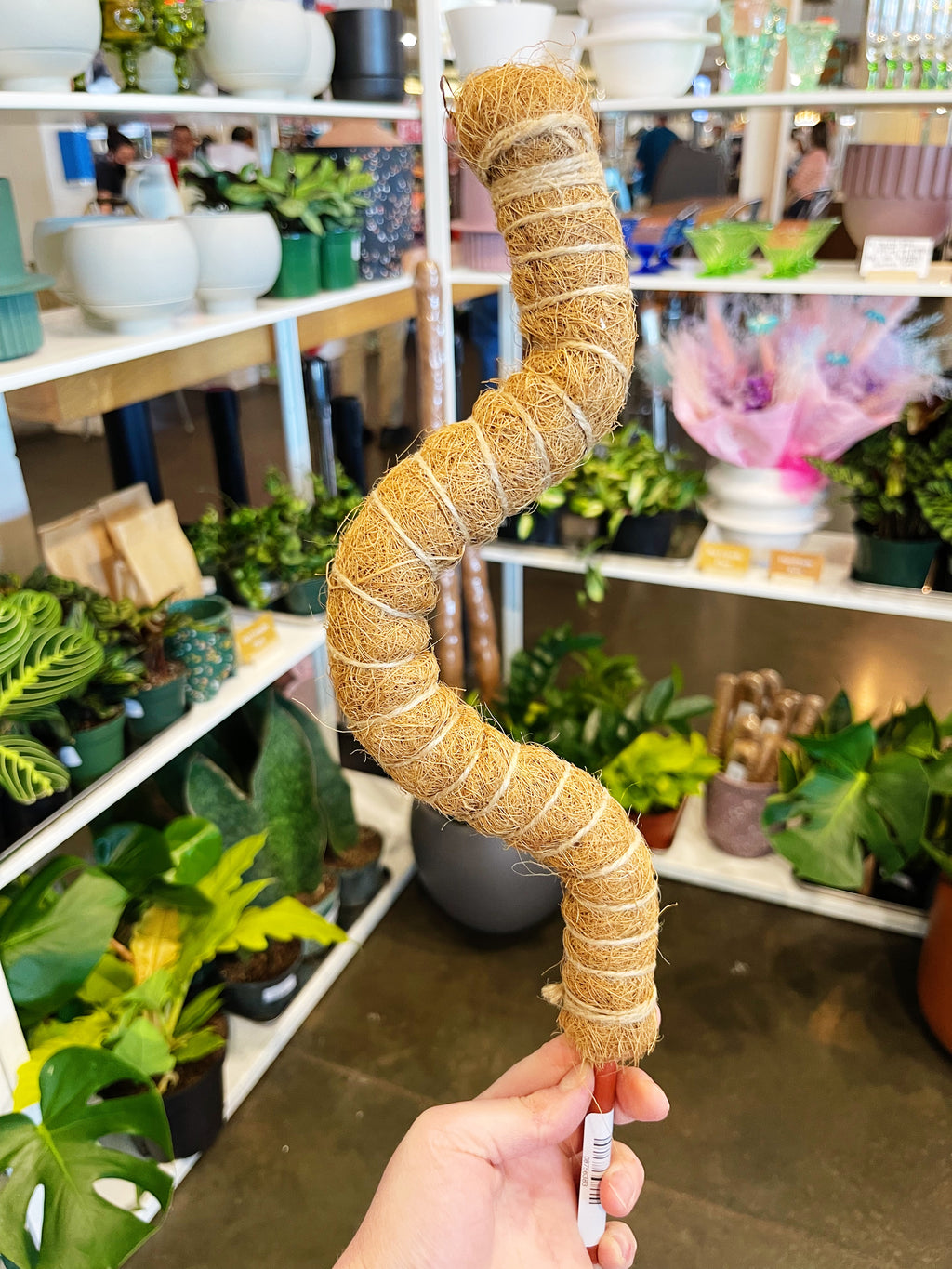 Bendable Coconut Grow Pole – Jungle & Loom